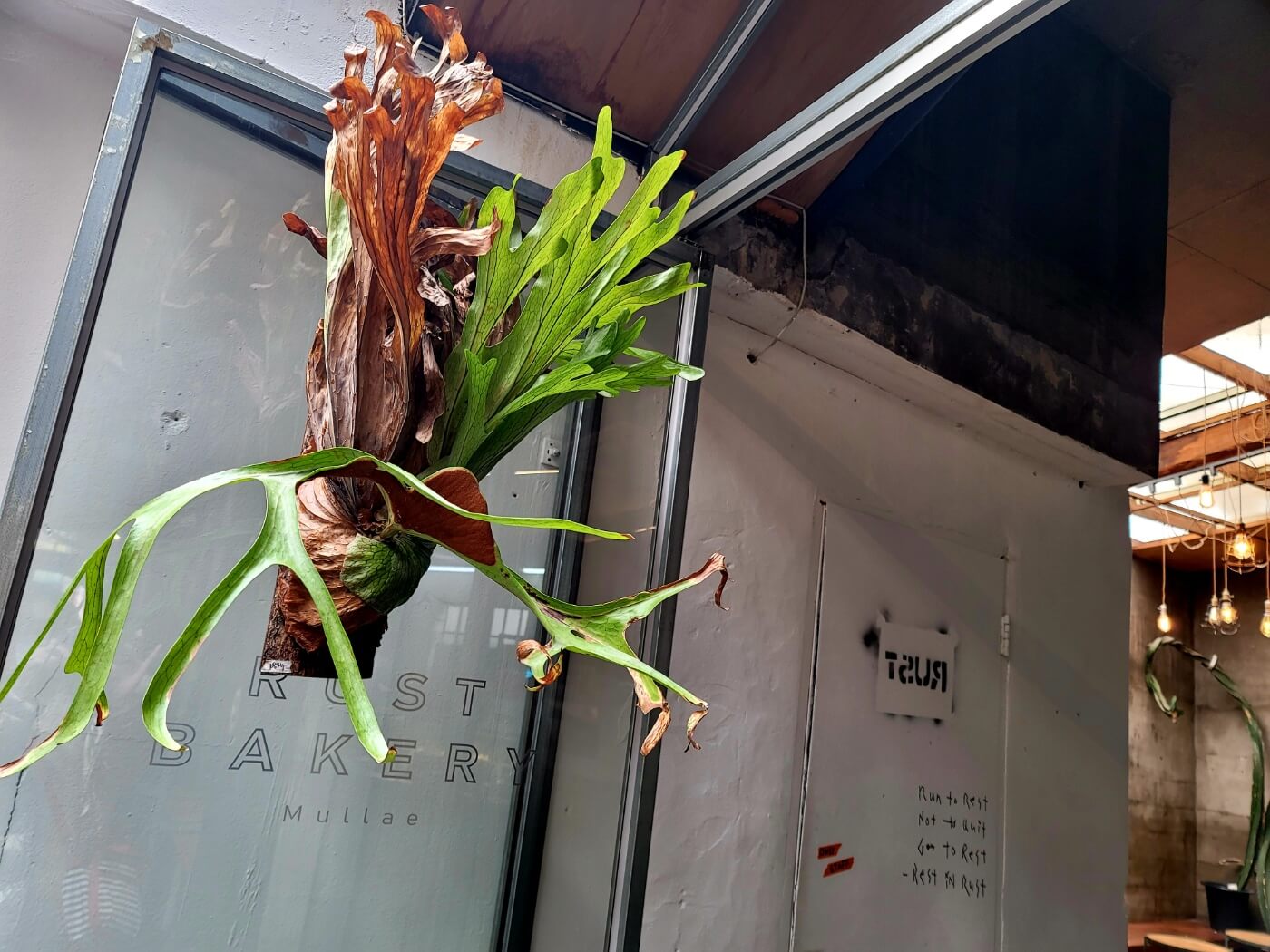 【ソウルおすすめ】文来洞でのカフェの先駆け！インスタ映えの工場エリアRust Bakery - カンコク暮らし